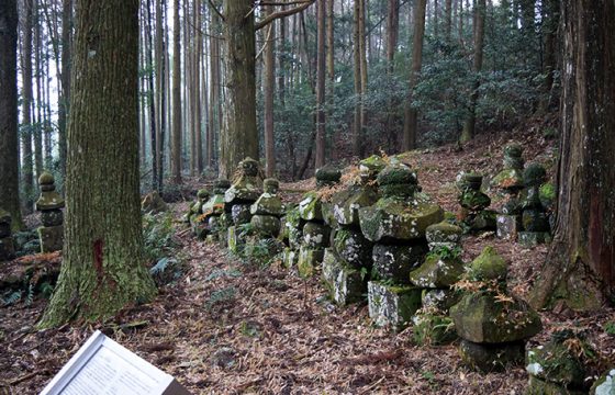 49.Site related to the Uemura Sagara clan – JAPAN HERITAGE HITOYOSHI KUMA