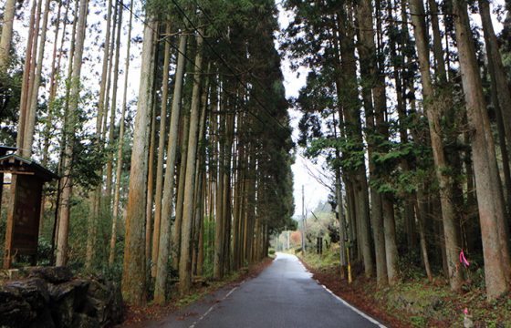 57.Old roads related to the Sagara clan – JAPAN HERITAGE HITOYOSHI KUMA